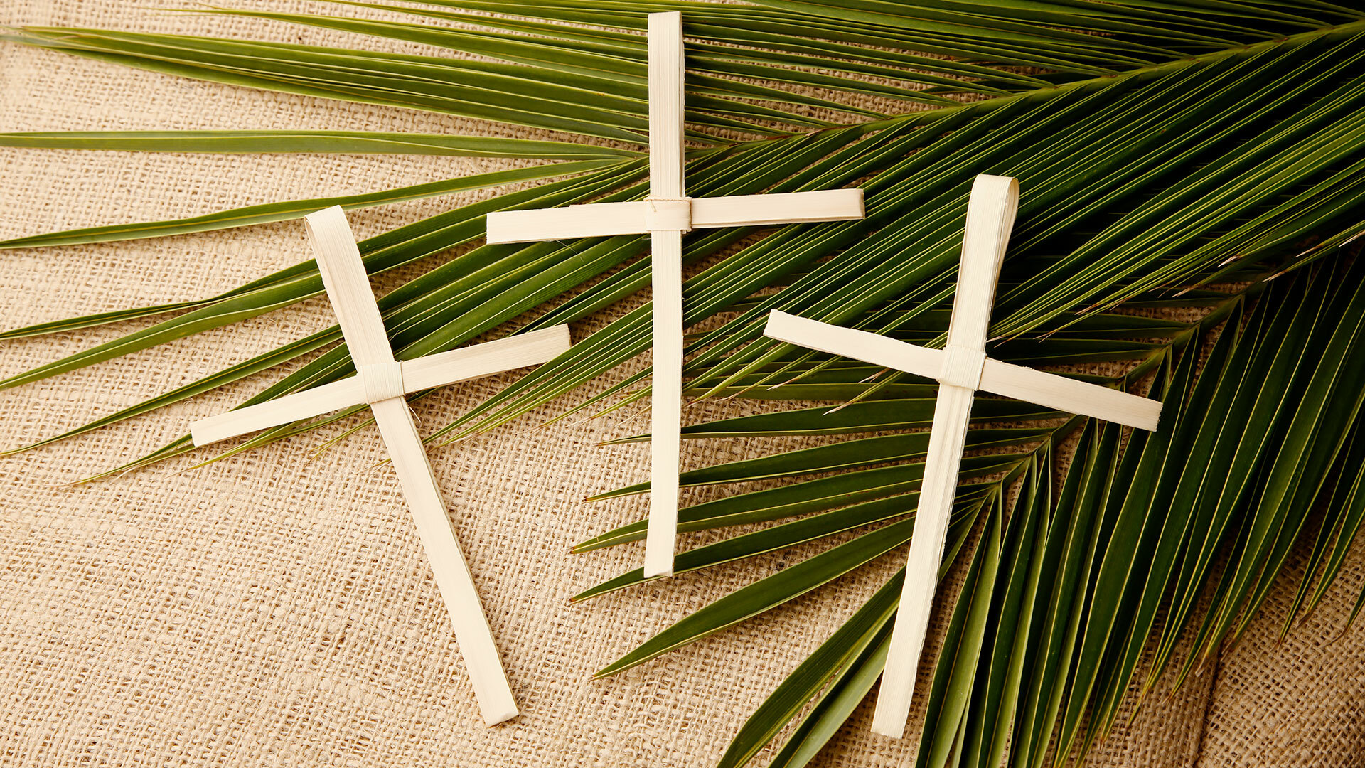 St. John The Divine | Palm Cross Construction Day